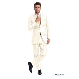 Demantie Men's Outlet 2 Piece Solid Executive Suit - Flat Front Pants