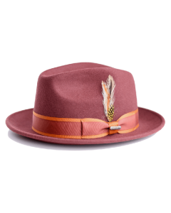 Steven Land - Brands